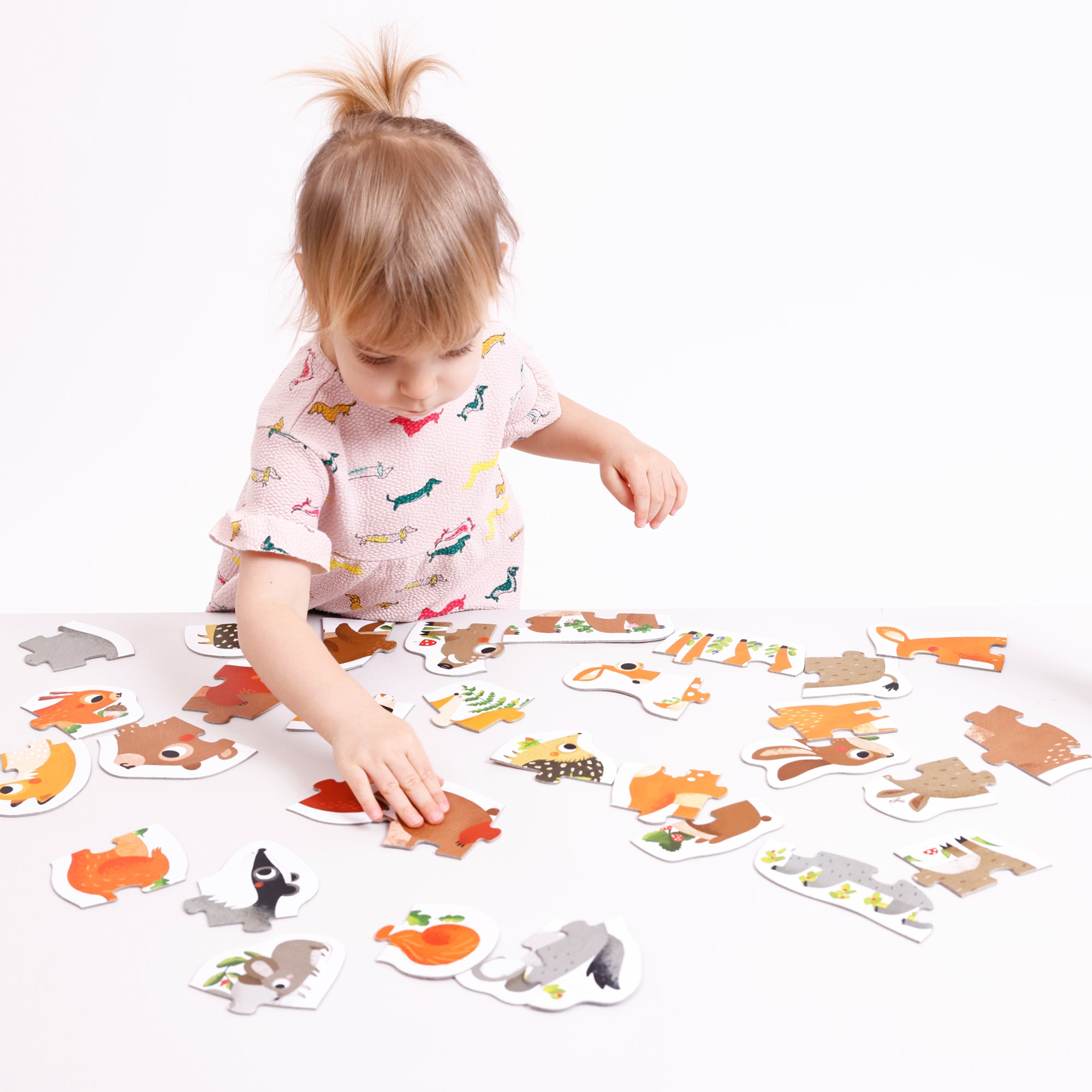 PROGRESSIVE PUZZLES – Namazingshop